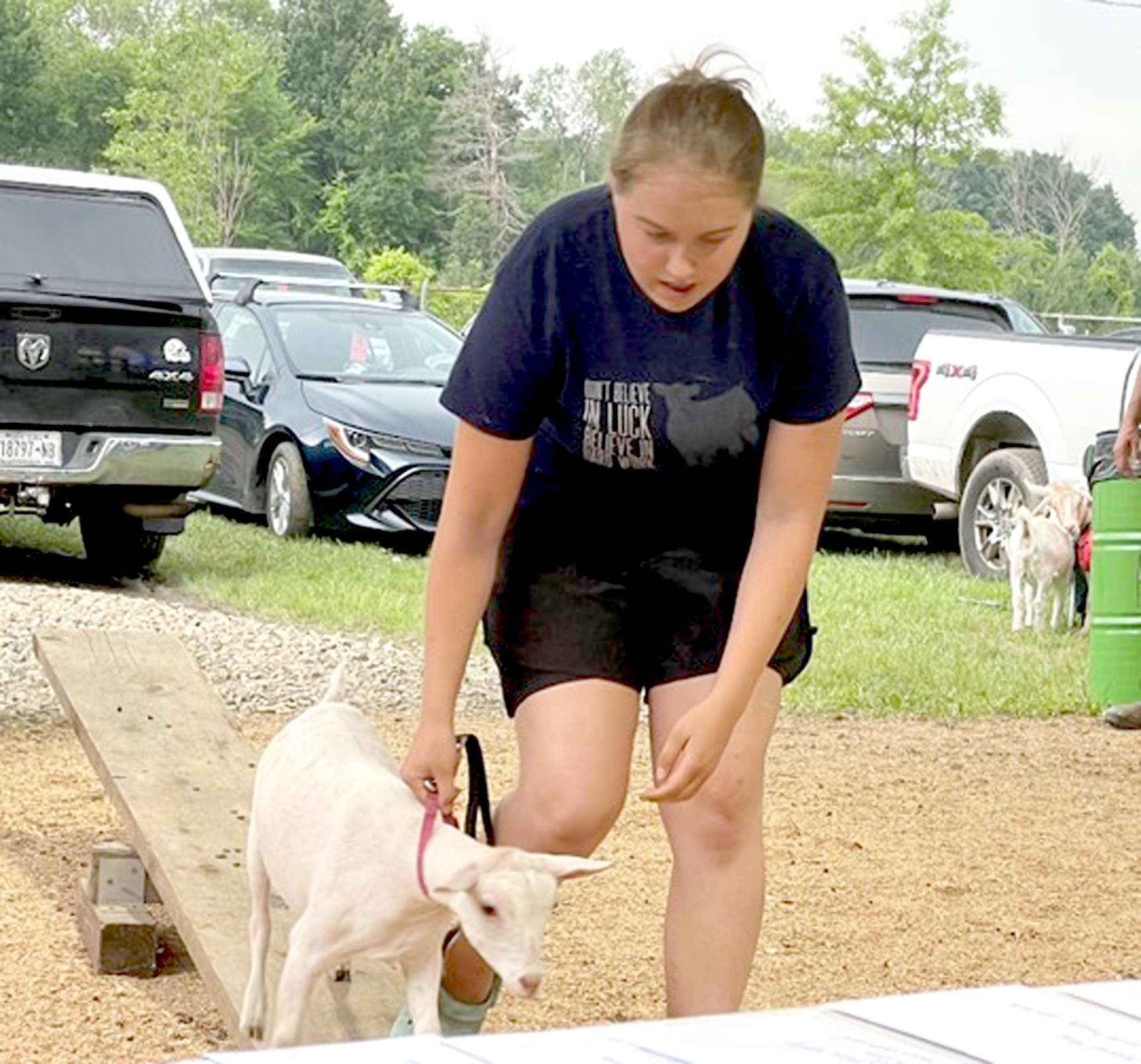 No goats, no glory | News, Sports, Jobs - Observer Today